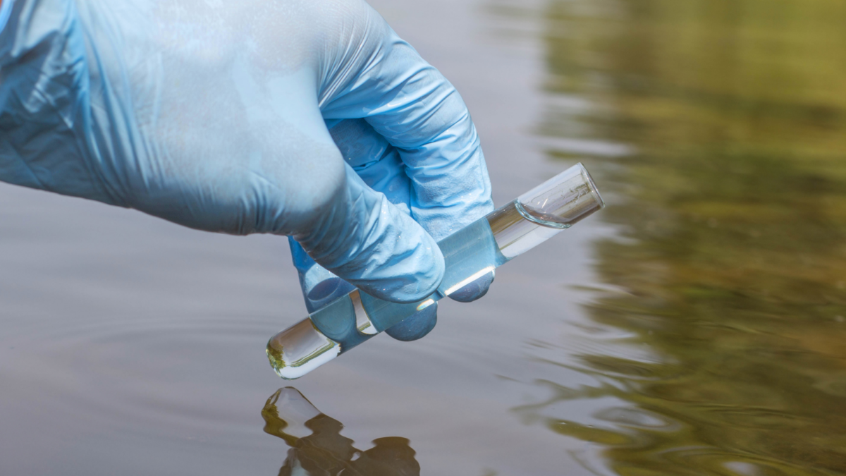 What Is TCE and Why It's Still a Problem in Long Island - Simply Pure ...